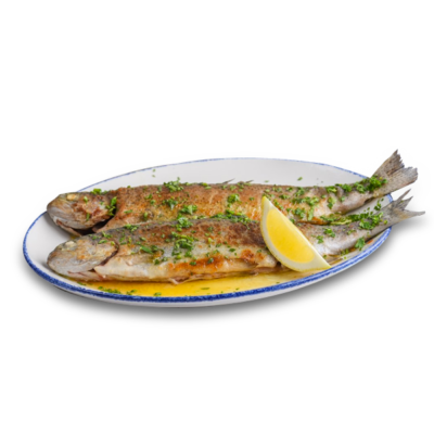 Trout fish | Pakistan Atlas