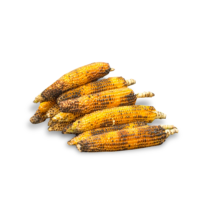 Bhutta | Pakistan Atlas